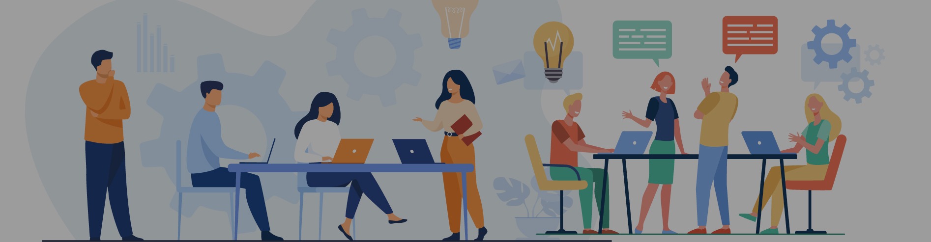 Team - Web Hub Solution